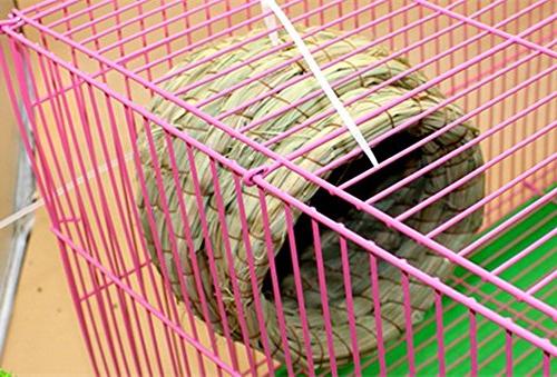RunHigh Handwoven Straw Bird Nest Cage, House Hatching RunHigh Handwoven Straw Bird Nest Cage, House Hatching